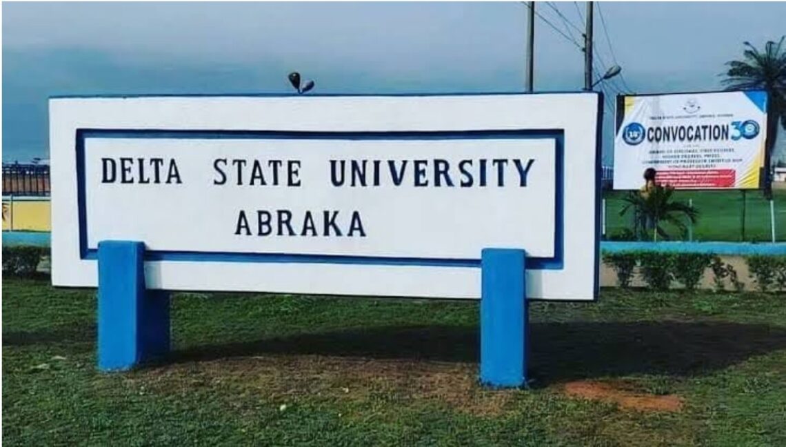 DELSU Cut Off Mark 2026/2027 for All Courses is Out - School Beginner